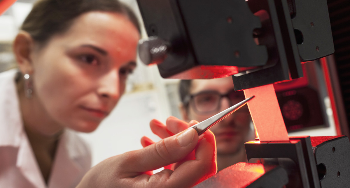 PhD student in Plant systematics